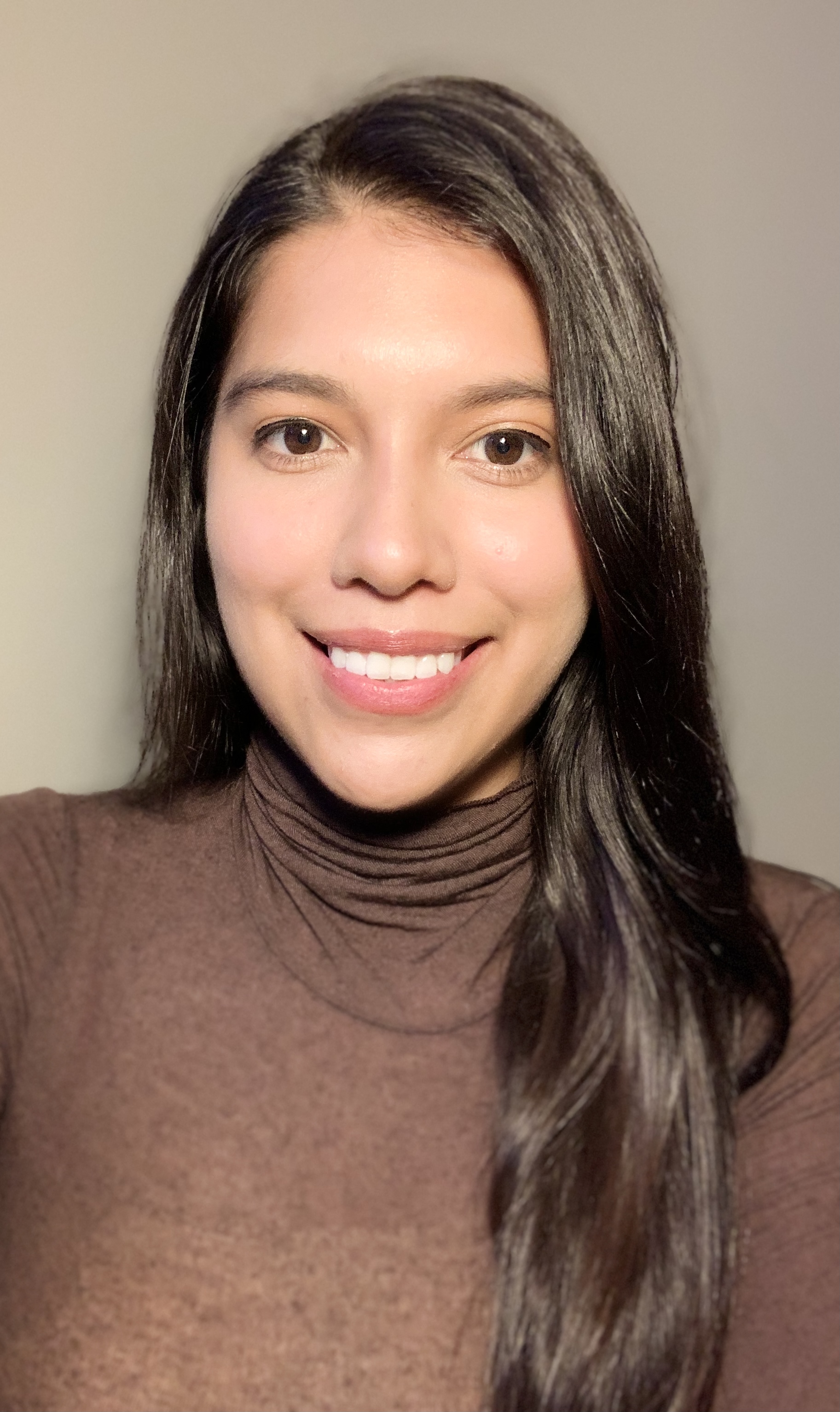 Creating a Genetic Counseling Professional Society in Latin America