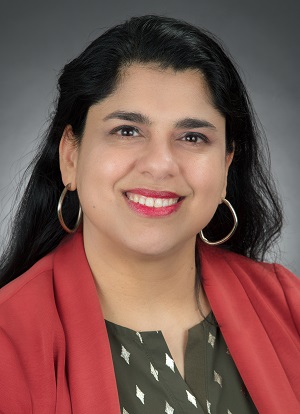 SIGnificant Insights from SIG Leaders